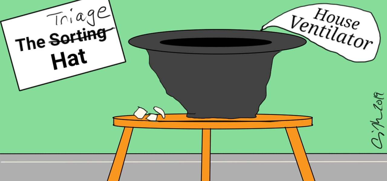 Blog - COVID Chronicles: What Does Triage Mean, How Does it Work, and ...